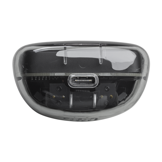 JBL Tune Flex Ghost Edition | True wireless Noise Cancelling earbuds